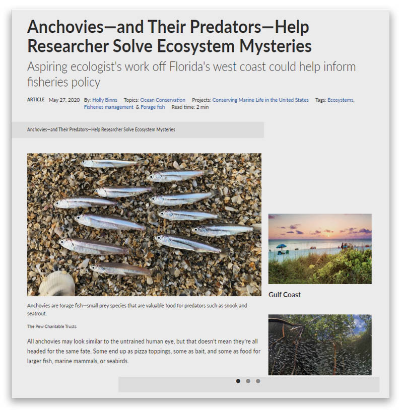 Florida Forage Fish Update