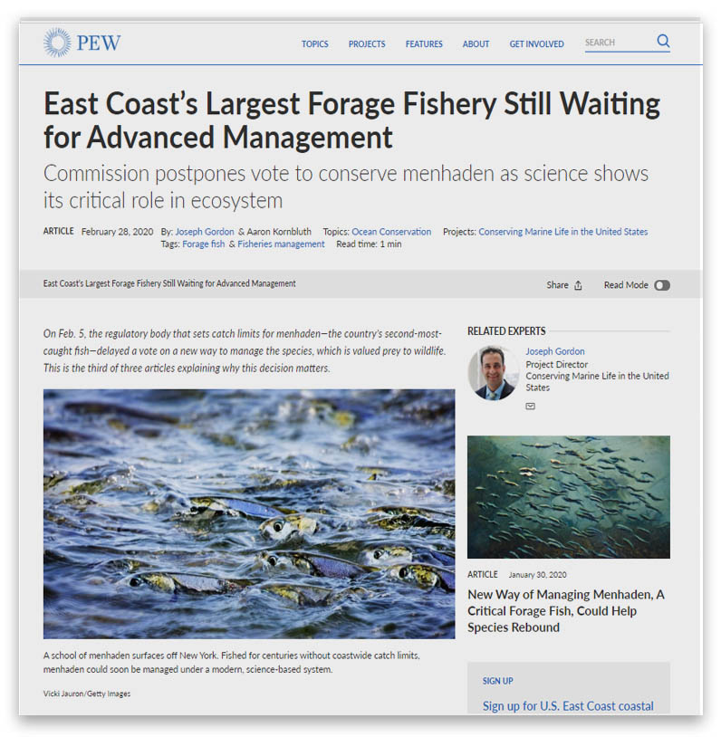 Florida Forage Fish Update