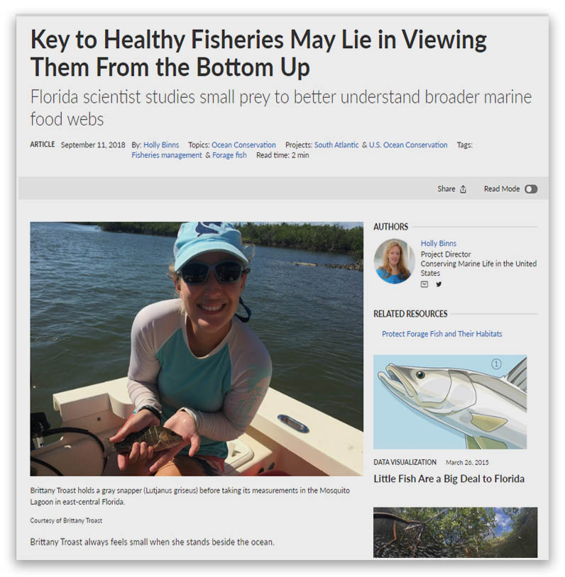 Florida Forage Fish Update