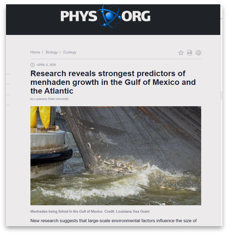 Florida Forage Fish Update